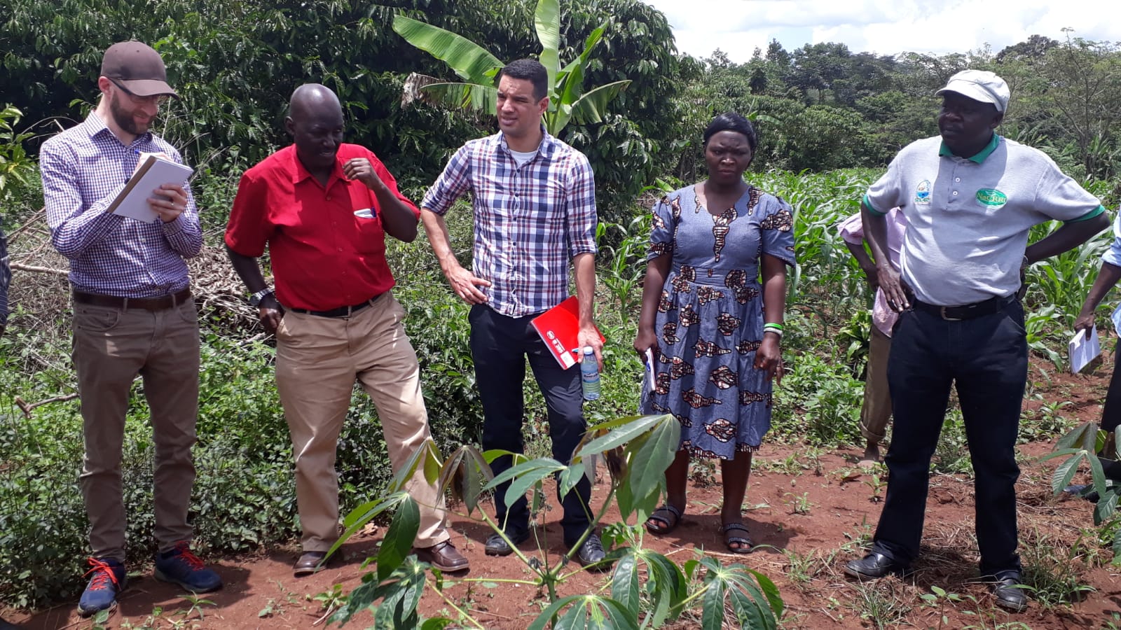 AbacusBio: Taking plant and animal genetics expertise around the world ...